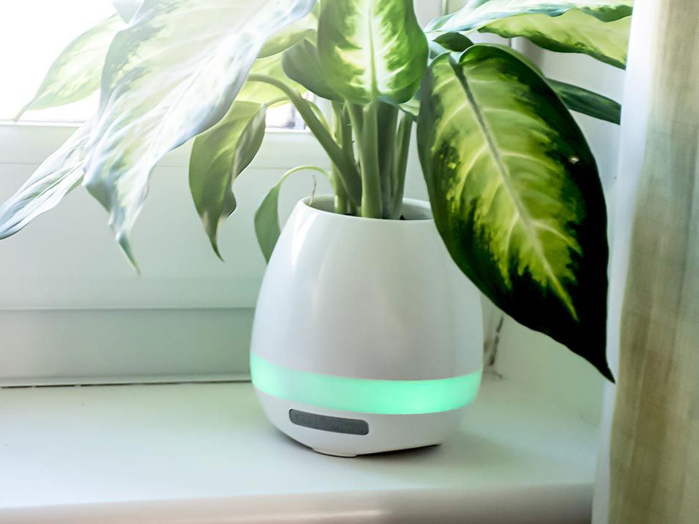 Piano Plant Pot - I Love That Gadget