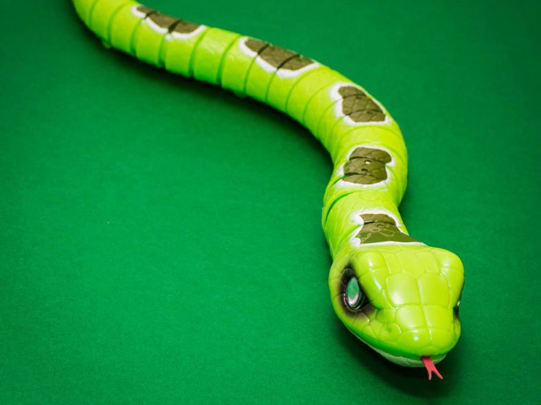 Robosnake - I Love That Gadget